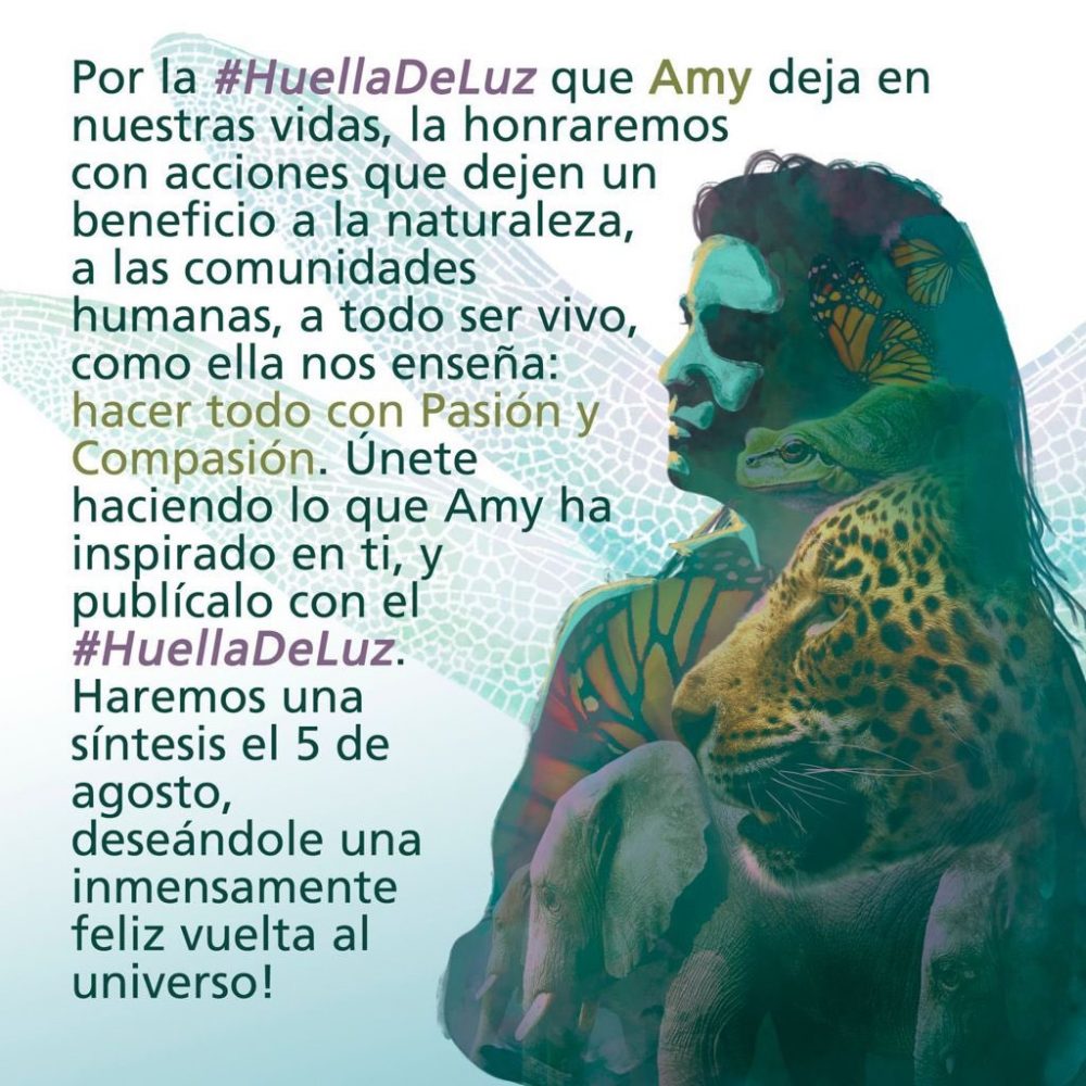 Convocan a sumarse a una “Huella de luz”, un movimiento inspirado en ...