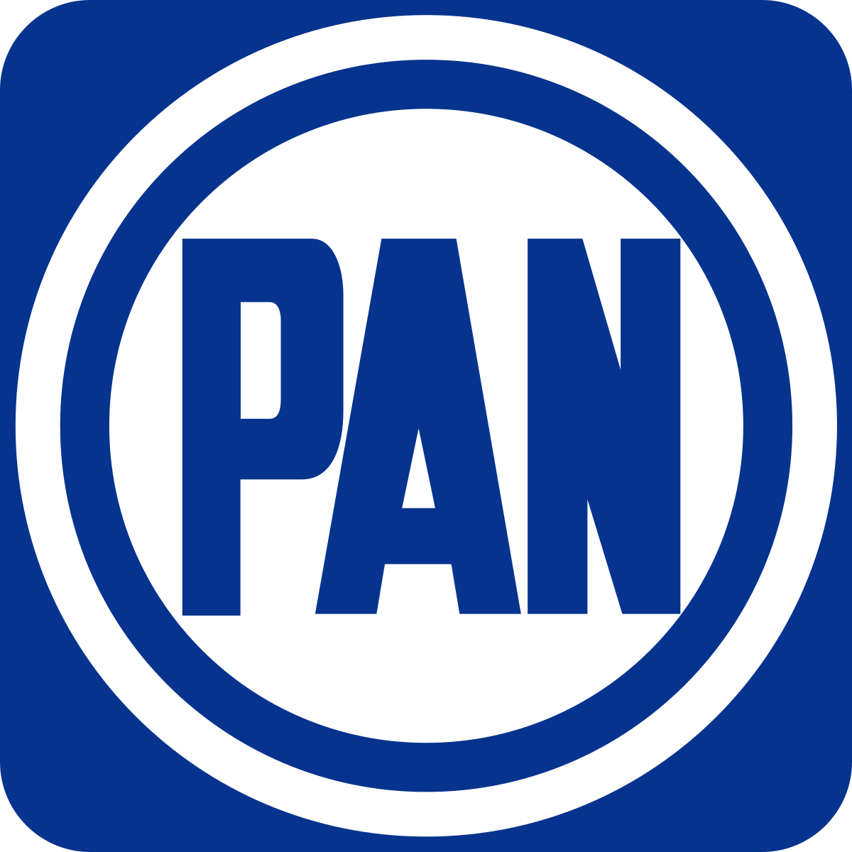 PAN Puebla renovará su consejo estatal para el periodo 2022 - 2025 ...