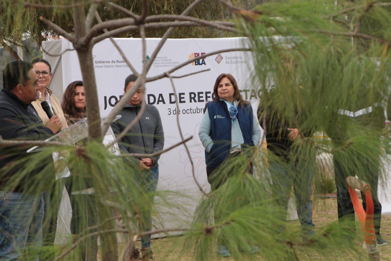 Secretaría de Medio Ambiente lleva a cabo 76 jornadas de reforestación